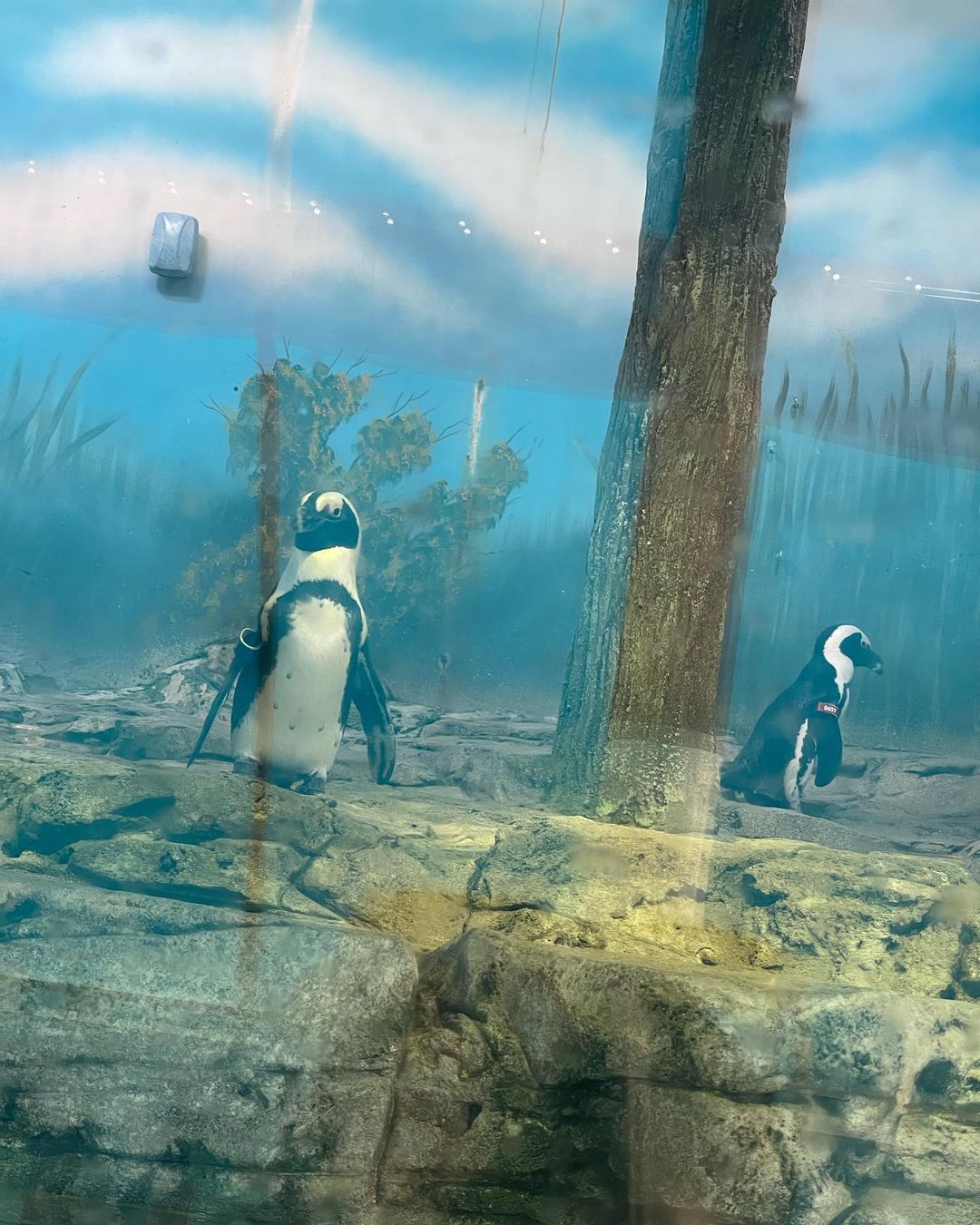 10 Miami Boardwalk Attractions You Won't Want to Miss! - Travel Mend