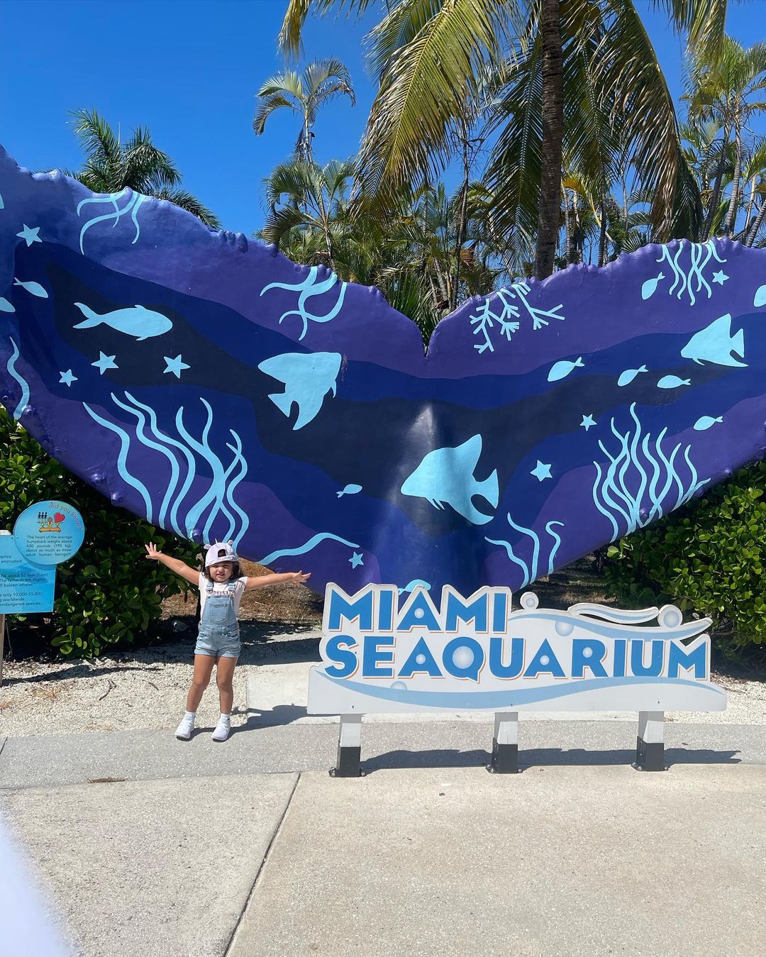 10 Miami Boardwalk Attractions You Won't Want to Miss! - Travel Mend